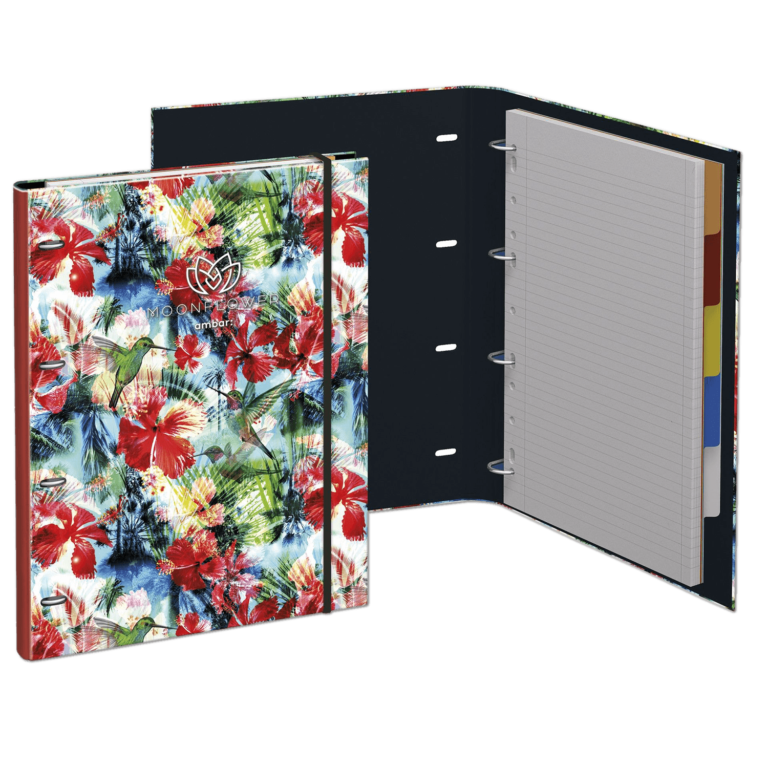 Segregator A4 4-ringowy z gumką z wkładem i przekładkami w linie ...